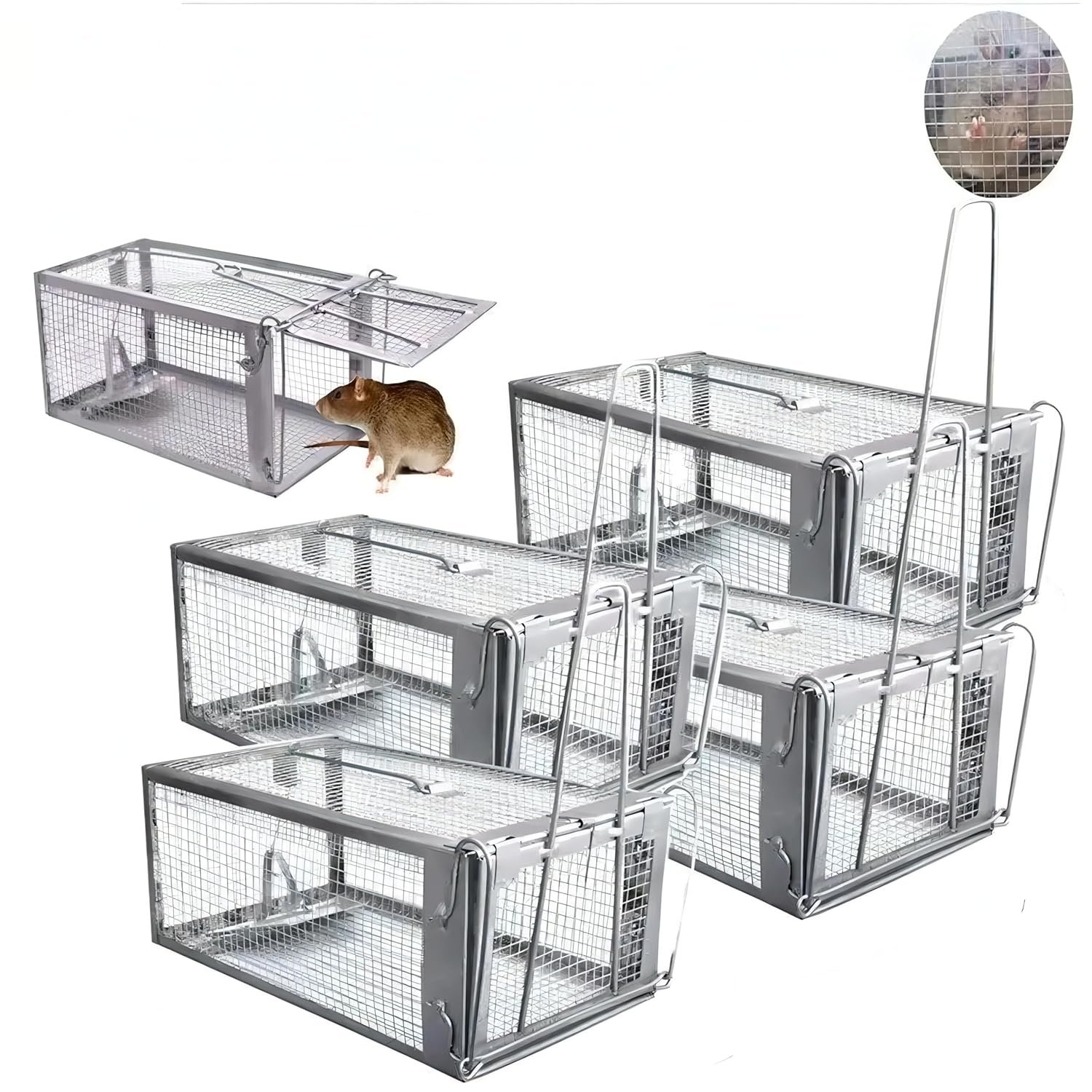 Bandicoot Rat Ghoos Rodent Mouse Trap Cage, Handmade Metal, No Kill, 28 ...